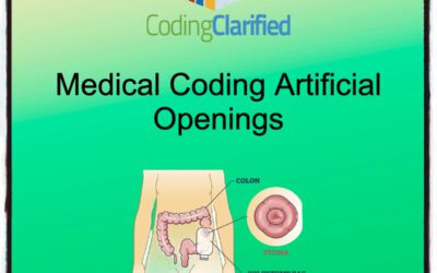 Medical Coding Blog: Understanding the Basics | Coding Clarified
