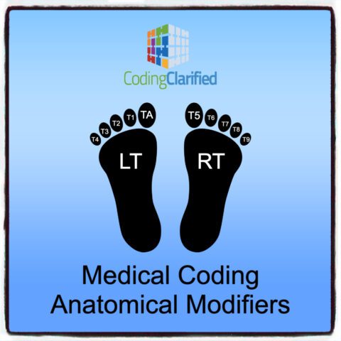 Medical Coding Anatomical Modifiers | Coding Clarified