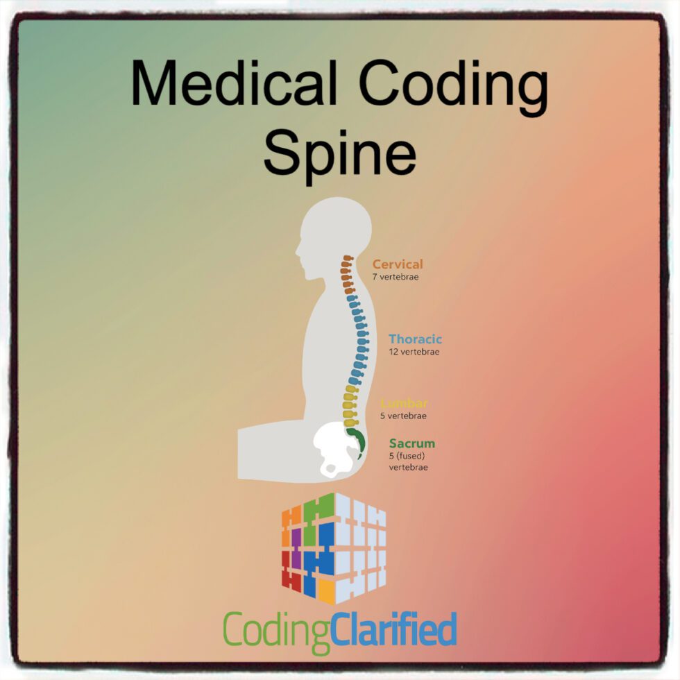 Medical Coding Spine | Coding Clarified
