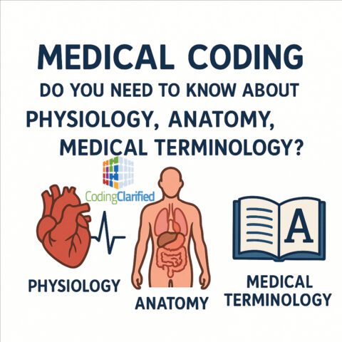 Medical Coding | Coding Clarified